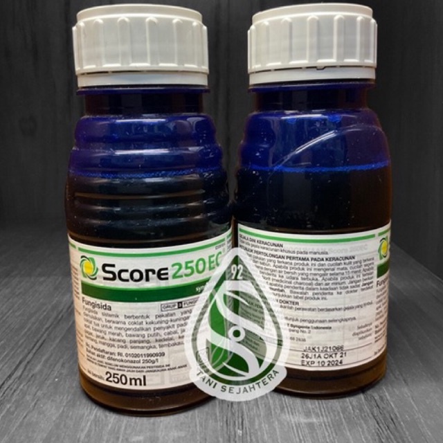 Jual SCORE 250ML | Shopee Indonesia