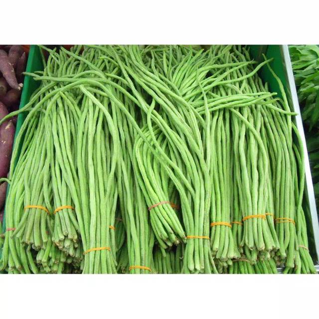 Jual Sayur kacang panjang warna ijo tua fres 1kg | Shopee Indonesia