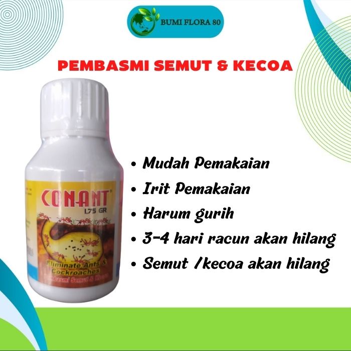 Jual Conant 20 gram umpan pembasmi semut dan kecoa/obat pembasmi semut ...