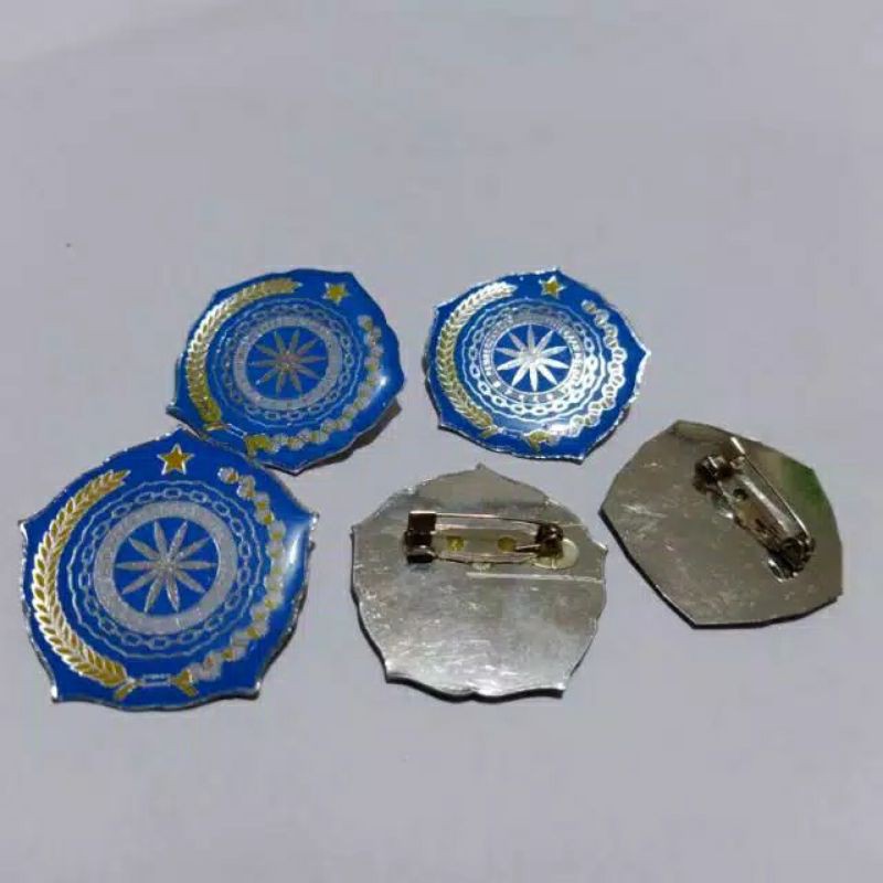 Jual Pin PKK 3 /3.5cm lapis resin satuan | Shopee Indonesia