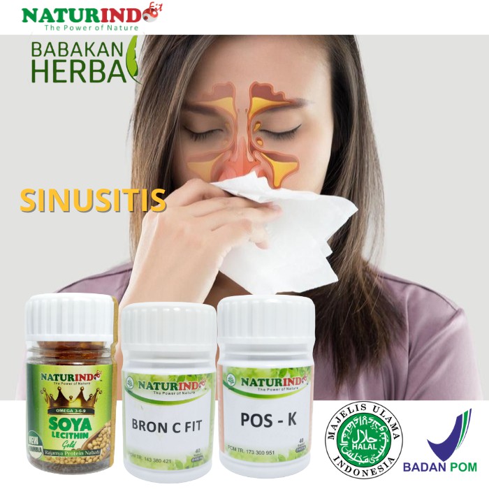 Harga naturindo sinusitis Terbaru Feb 2025 | BigGo Indonesia