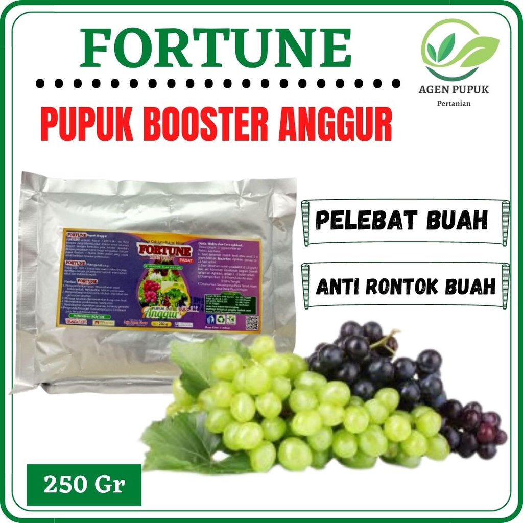 Jual Pupuk Anggur Berbuah Besar, Pupuk Booster Anggur 250 gram Perangsang Buah Anggur | Shopee ...