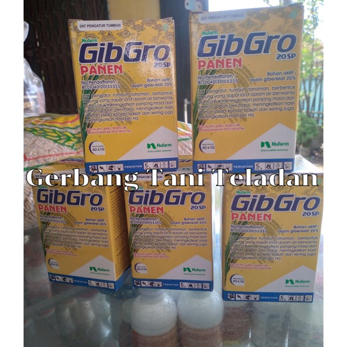 Jual 1 kotak Gibgro Panen - 1 Pak Gibgro Panen - Gibgro 20 SP (isi 40 ...