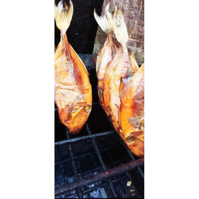 Jual Ikan asap togek / ikan ayam-ayam asap Indonesia|Shopee Indonesia
