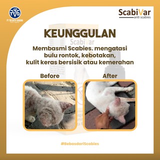Jual Obat Tungau Scabies Tungau Kucing Kelinci Scabies scabivar 10 ml ...