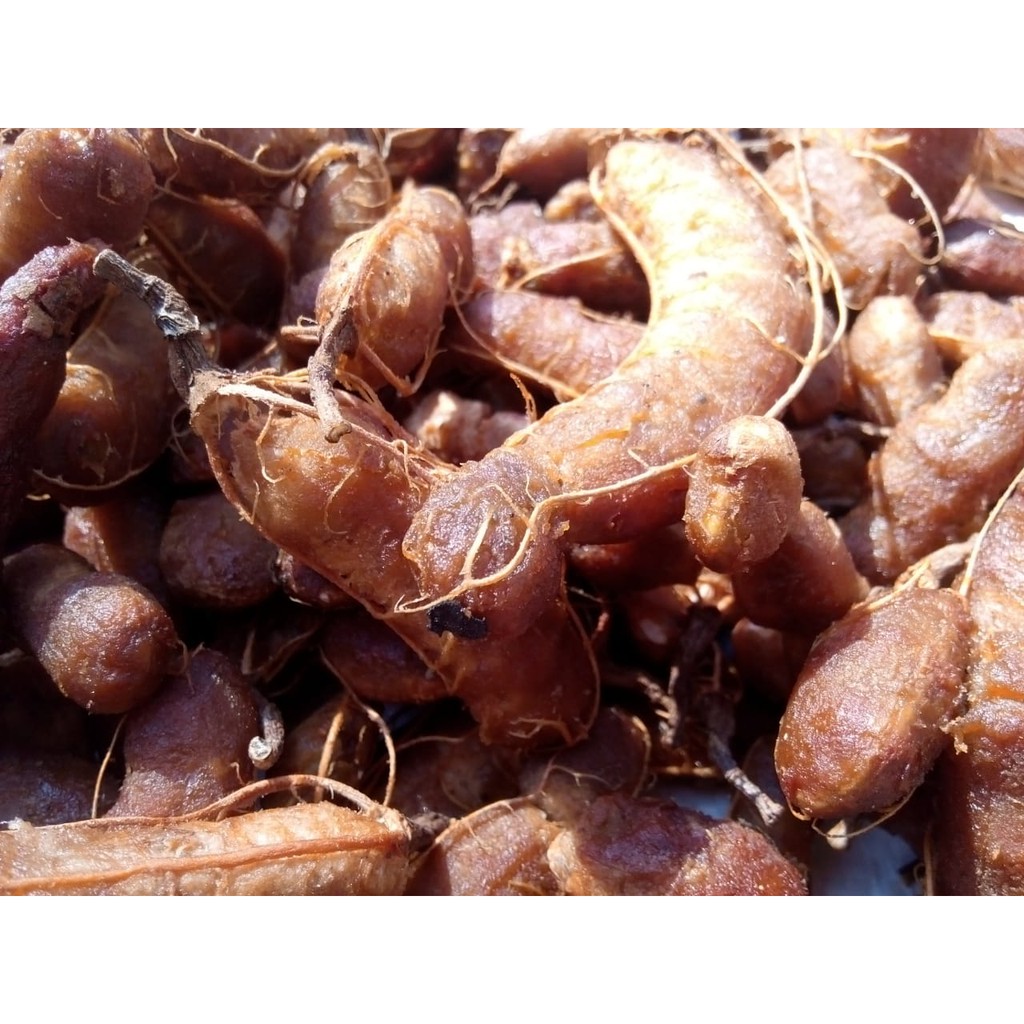 Jual Asam Jawa High Quality Asam Jawa asli 500 gr | Shopee Indonesia