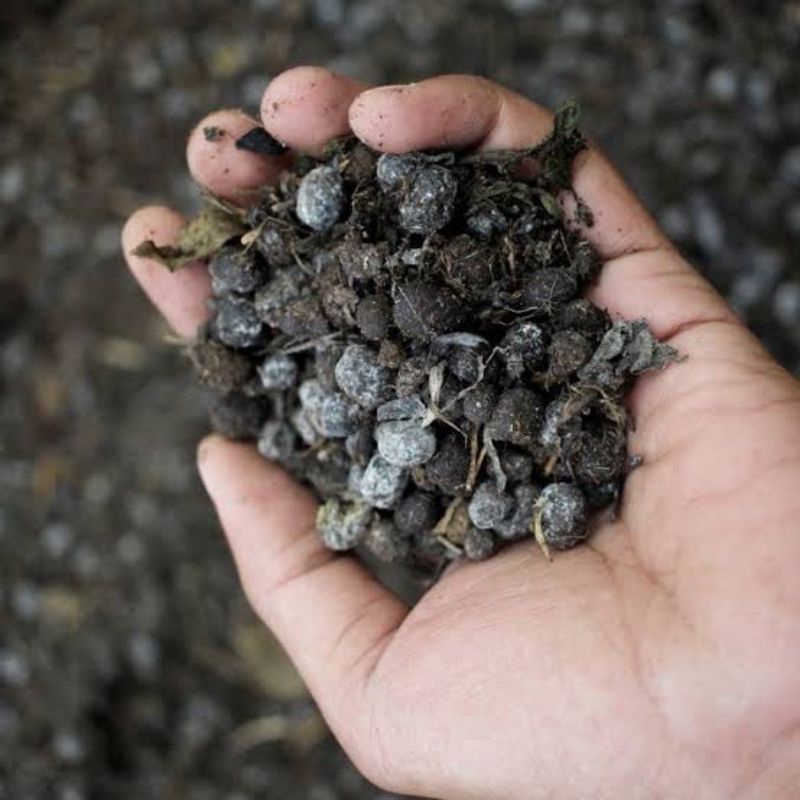 Jual Pupuk organik tai kambing murni kering 1 kg | Shopee Indonesia