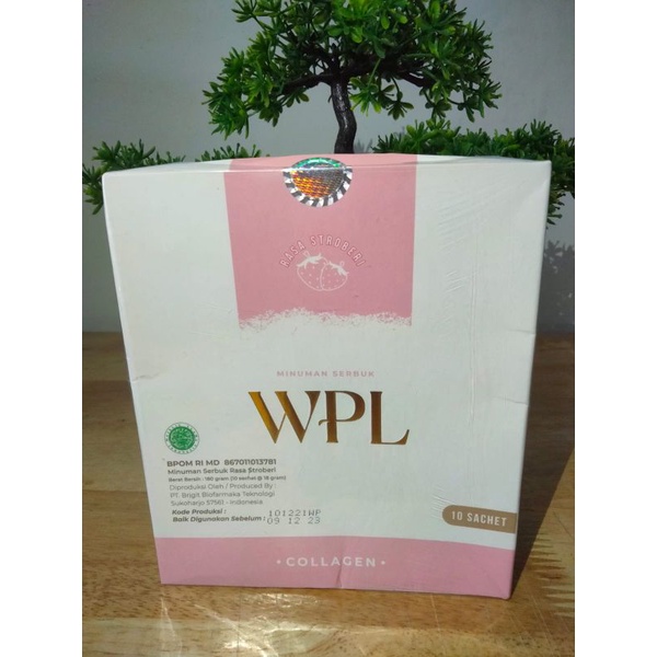 Jual WPL COLLAGEN DRINK Indonesia|Shopee Indonesia
