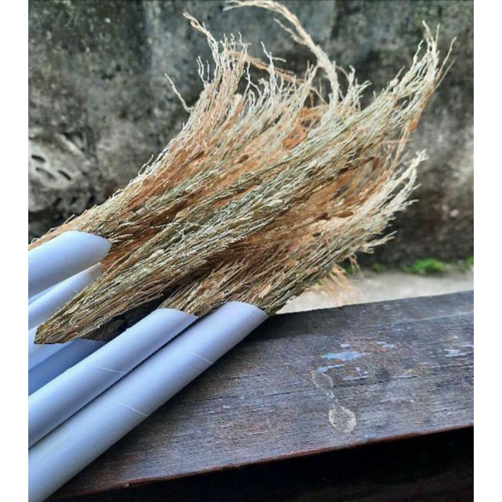 Jual merang ketan hitam 25 tangkai | Shopee Indonesia