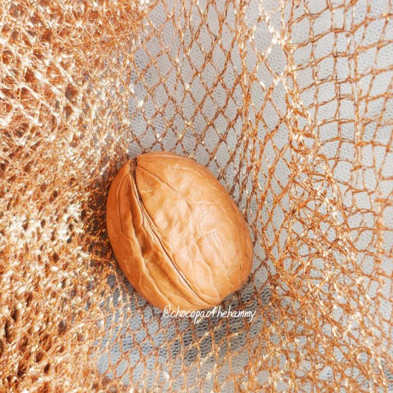 Jual Walnut in shell / boredom breaker | chocopaothehammy | Shopee ...