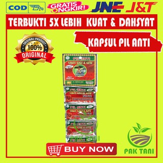 Jual Obat Sakit Gigi Pil Pak Tani Original Penghilang Nyeri Gusi PT9 ...