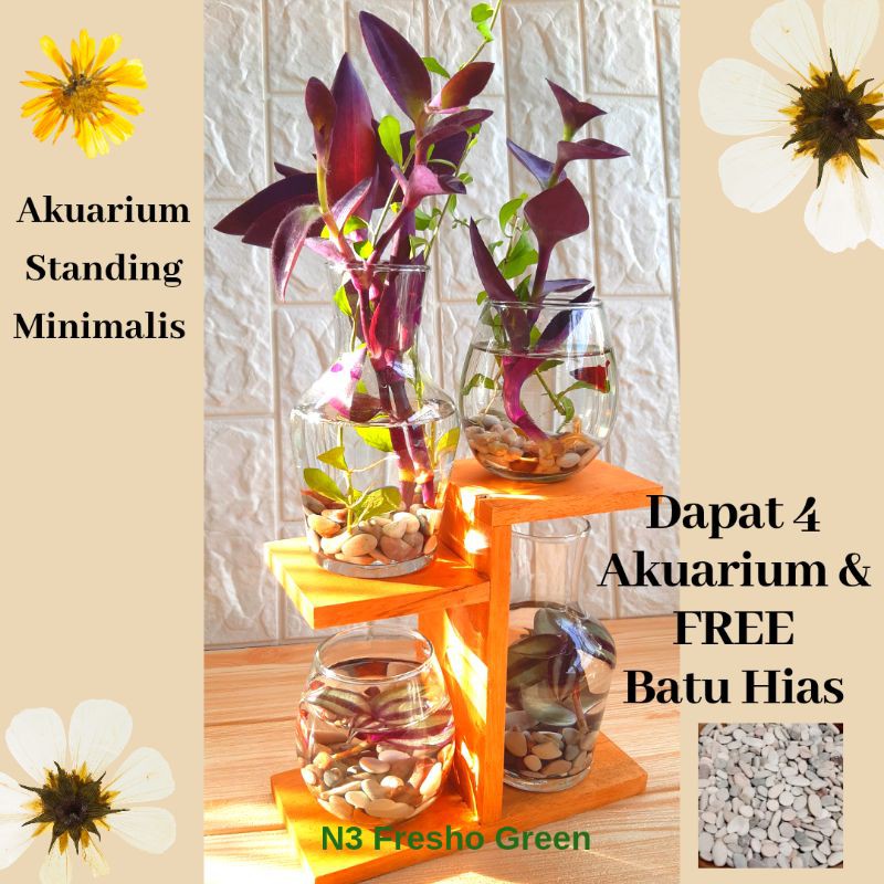 Jual Akuarium Ikan Cupang Set Minimalis dpt 4 Aquarium Kaca Unik ...