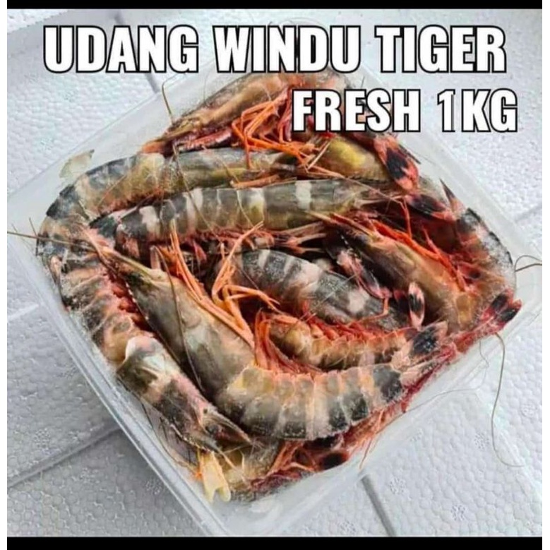 Jual Udang Windu Tiger 1kg frozen | Shopee Indonesia