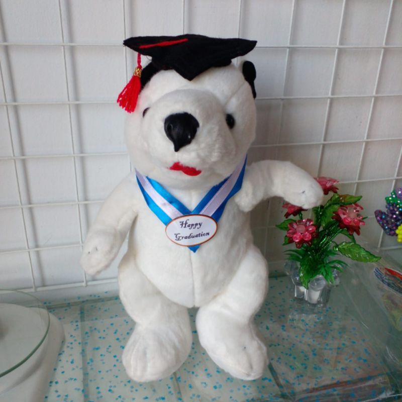 Jual Boneka Beruang Kutub Putih Wisuda | Shopee Indonesia