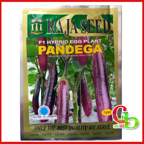 Jual ISI 5GR - BENIH BIBIT TERONG UNGU HIBRIDA PANDEGA F1 PRODUK UNGGUL ...
