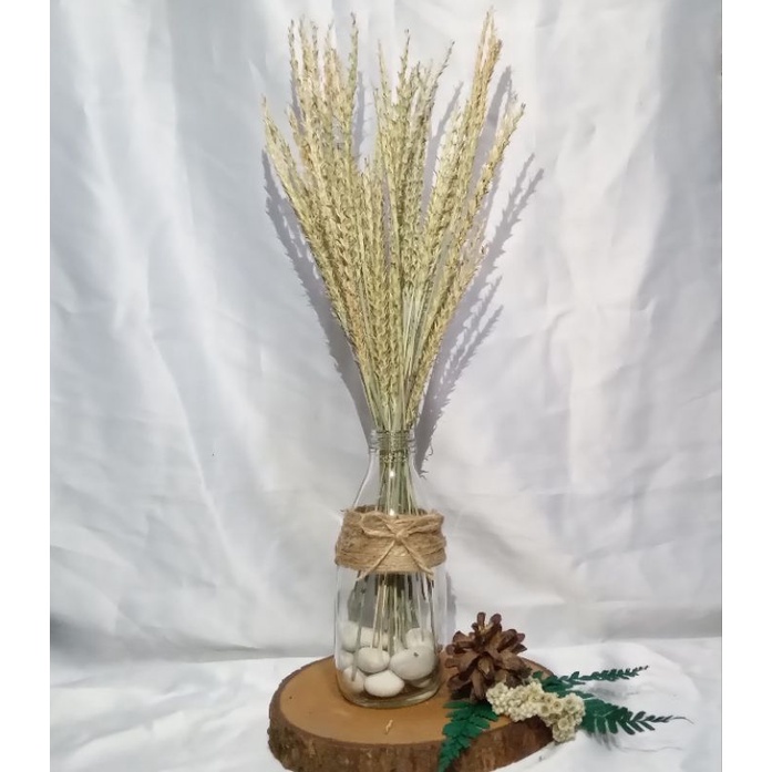 Jual vas bunga kaca tali rami bunga padi2 an | Shopee Indonesia