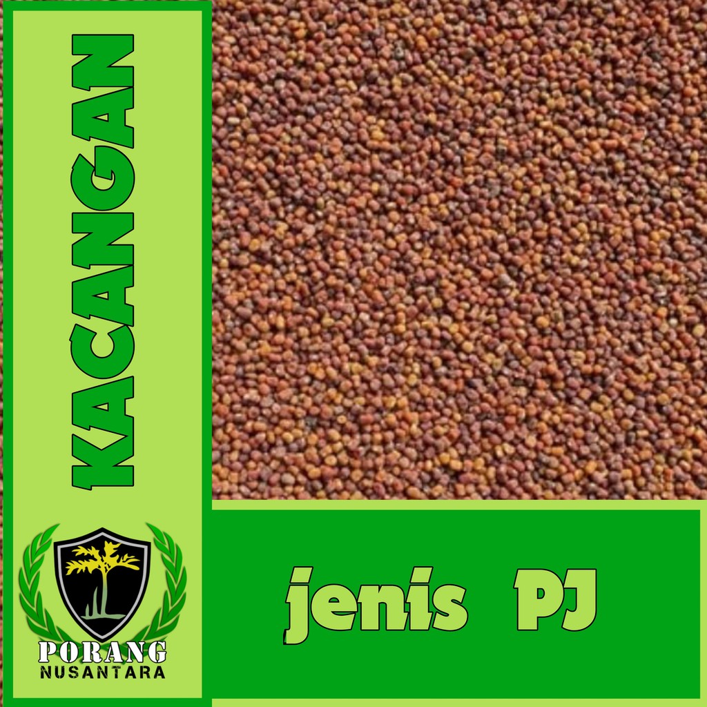 Jual Kacangan PJ (Pueraria Javanica) | Shopee Indonesia Jual Kacangan PJ (Pueraria Javanica) | Shopee Indonesia