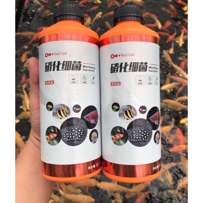 Jual Red cell Redcell Japan Nitrificatikn Bacteria bakteri starter ...