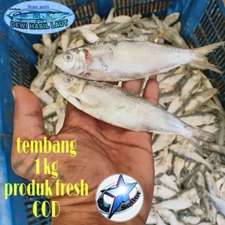 Jual ikan asin tembang tanjan 1KG | Shopee Indonesia