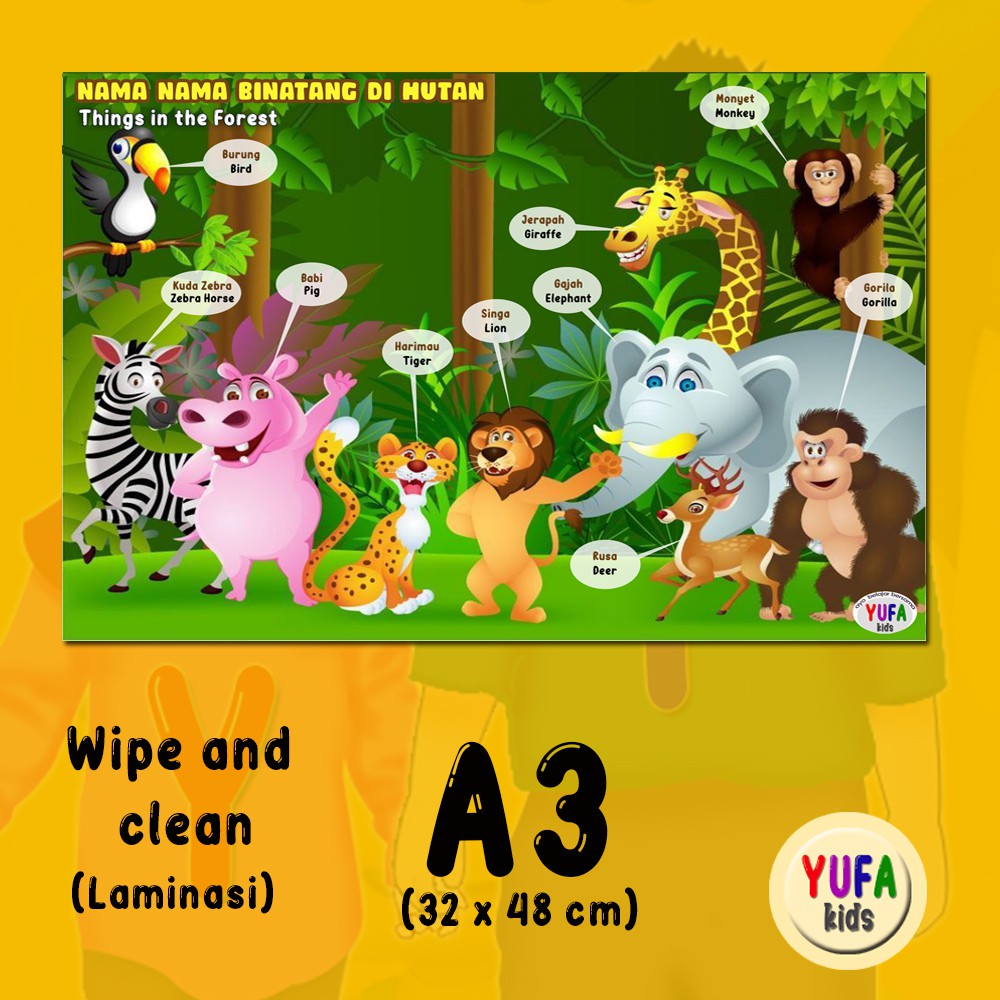 Jual 035 Poster binatang - Poster Edukasi Anak - Poster belajar anak - Poster wipe and clean ...