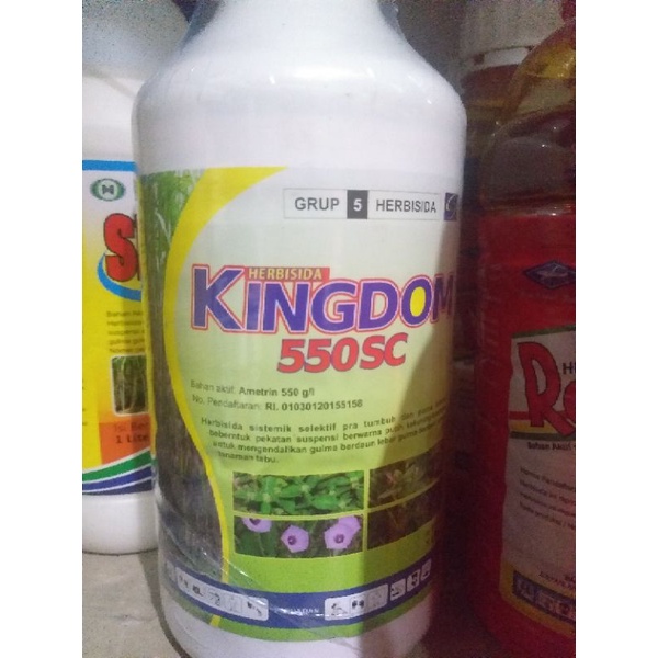 Jual Herbisida sistemik Kingdom 550sc untuk rumput lulangan 1L | Shopee ...