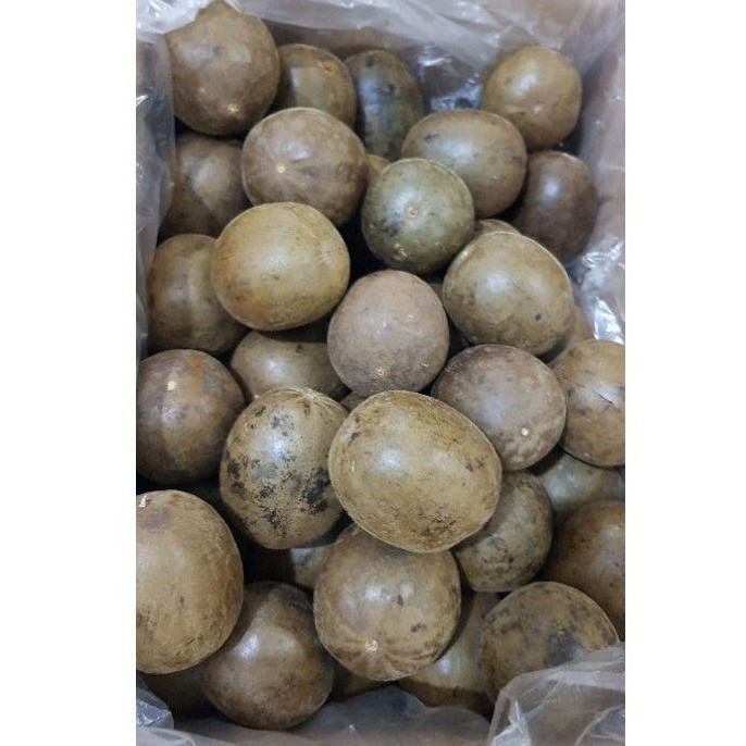 Jual BUAH LOHANKO / BUAH LOHANGUO / BIJI LO HAN KO / BIJI LO HAN GUO ...