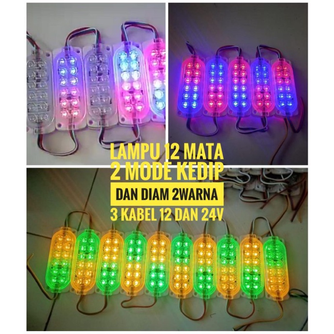 Jual Lampu led 12 mata 2 mode kedip dan diam 2warna 3 kabel 12 dan 24V ...