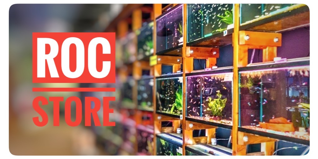 Toko Online ROC.STORE | Shopee Indonesia