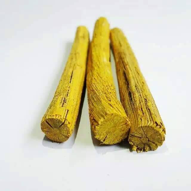 Jual Tumbuhan herbal Akar kuning asli kalimantan Indonesia|Shopee Indonesia