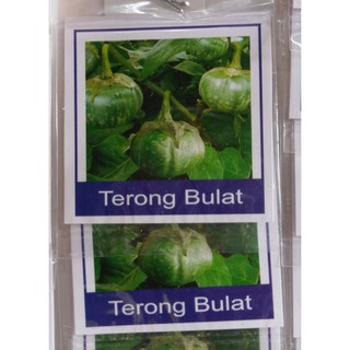 Jual benih terong bulat hijau / benih terong bulat KECIL | Shopee Indonesia