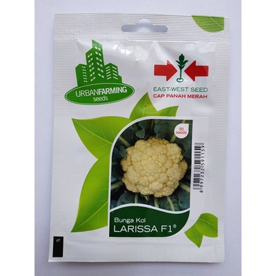Jual Benih Biji Kembang Bunga Kol LARISSA F1 - Mini Pack - Panah Merah ...