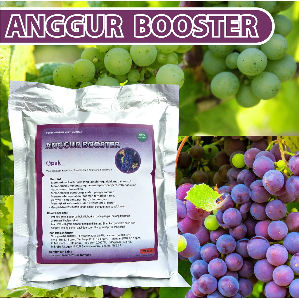 Jual Pupuk Organik Booster Anggur Perangsang Buah Serbuk Terbaik Ampuh Agar Cepat Berbuah Lebat ...