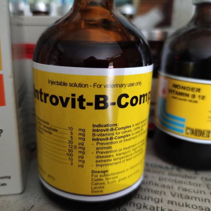 Harga Introvit-B-Complex Terbaru Agustus 2022 |BigGo Indonesia