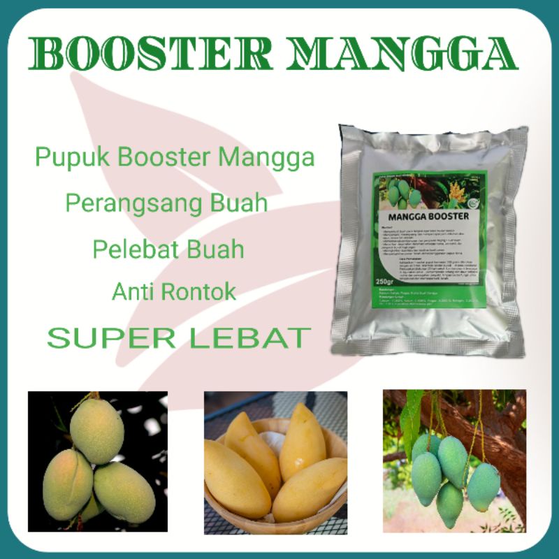 Jual pupuk mangga organik pelebat buah pupuk perangsang booster opak buah mangga cepat berbuah ...