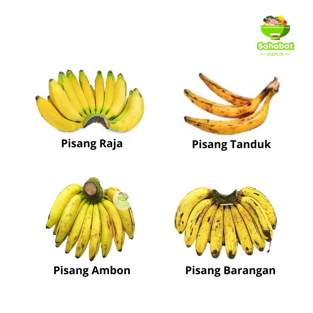 Jual Pisang Raja/Pisang Ambon/Pisang Uli/Pisang Tanduk/Pisang Barangan ...