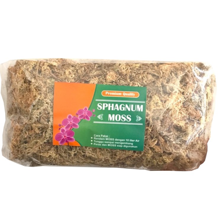 Jual Sphagnum Moss 100 Gram Spaghnum Media Tanam Anggrek Lumut ...