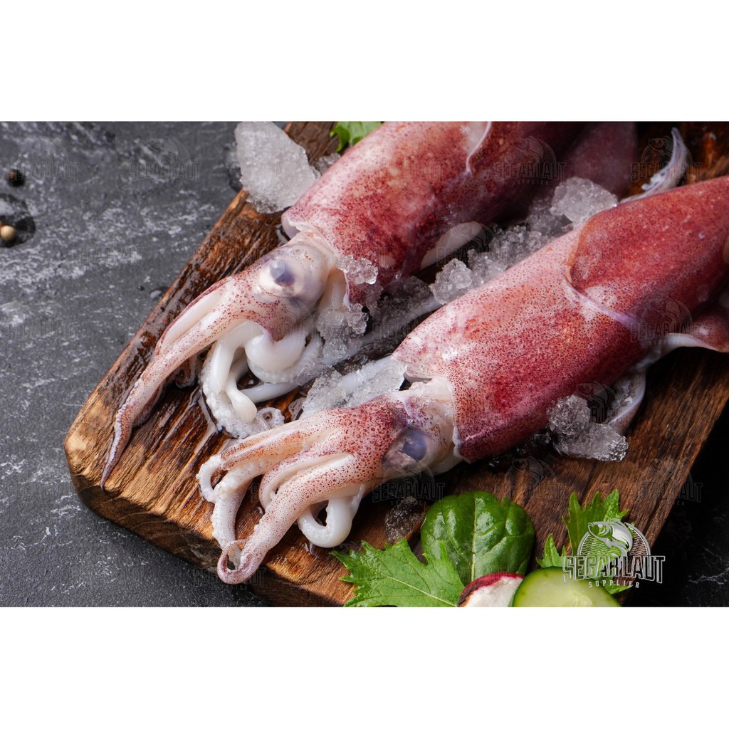 Jual CUMI BANGKA BESAR & SUPER | FRESH & SEGAR | Shopee Indonesia