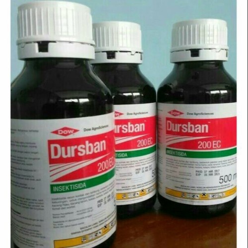 Jual Insektisida Dursban | Shopee Indonesia