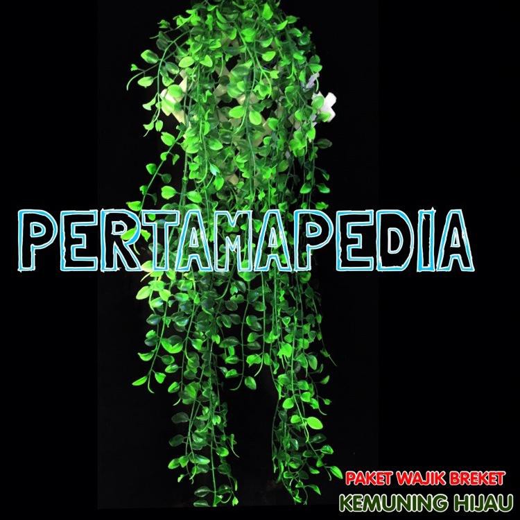 Jual JUNTAI KEMUNING HIJAU+WAJIK/DAUN PLIK/BUNGA PLIK/DAUN RAT/RUMPUT ...