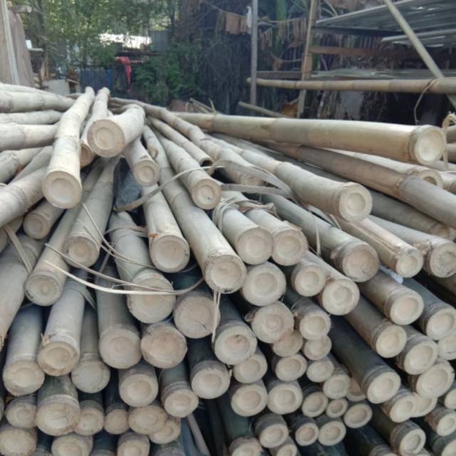 Jual kayu bambu 6meter 50batang | Shopee Indonesia