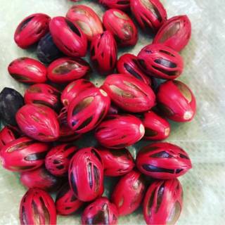 Jual Bunga pala kering /Fuli /Mace | Shopee Indonesia