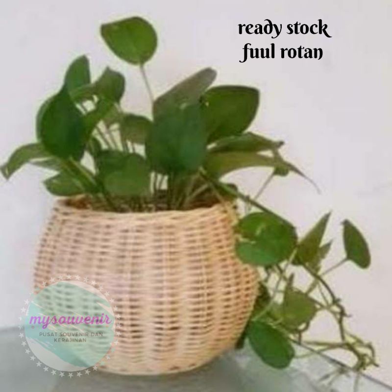 Jual Pot Rotan Bahan Rotan Kekinian Premium Ready Stock Vas Rotan ...