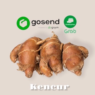 Jual Kencur 250 Gram | Shopee Indonesia