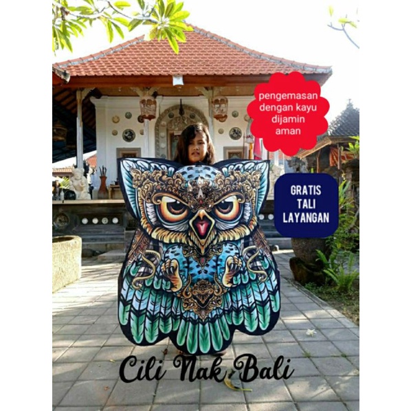 Jual Layangan Celepuk Layangan Bali Layangan Burung Hantu Print 1,2 ...