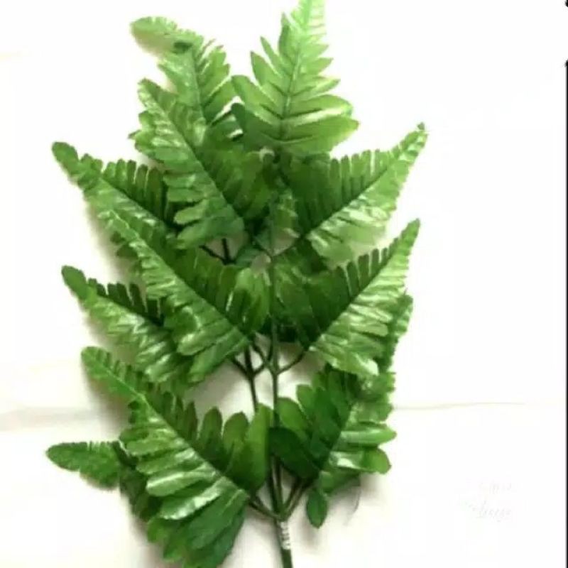 Jual Daun Pakis Artificial | Shopee Indonesia