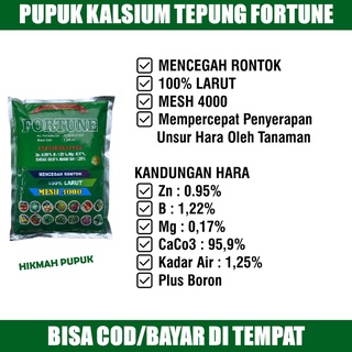 Jual (PROMO COD) FORTUNE isi 1KG 500 ML Obat Busuk Daun Sawi - Obat ...