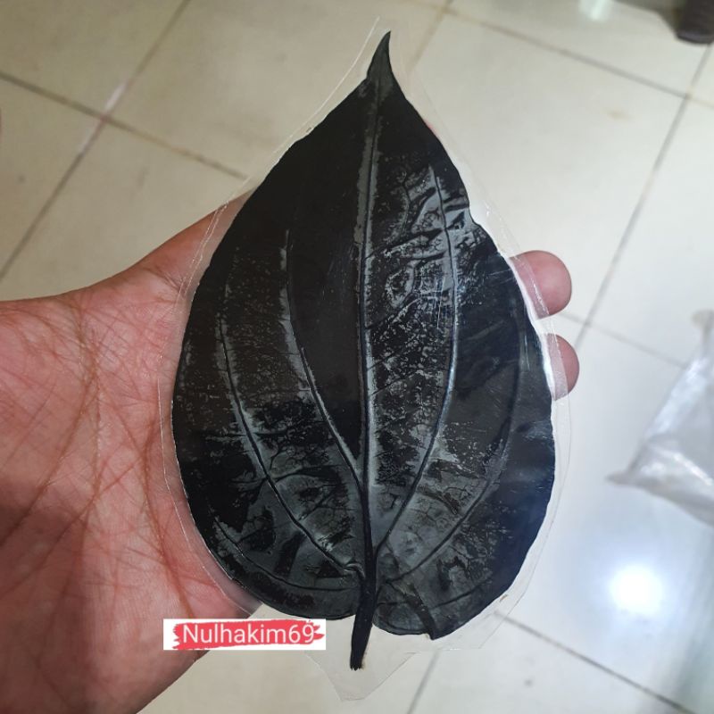 Jual sirih hitam asli Harga Terbaik & Termurah Agustus 2022 | Shopee ...