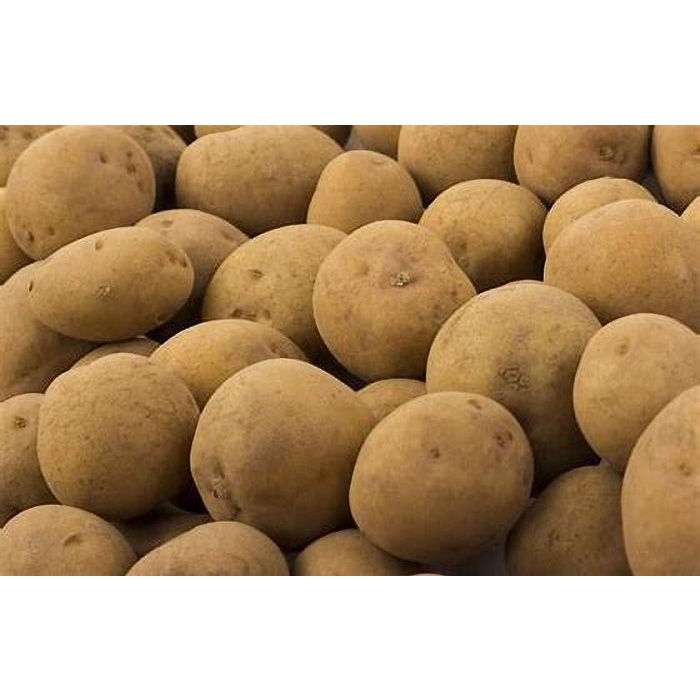 Jual Kentang Super 500 gr | Shopee Indonesia