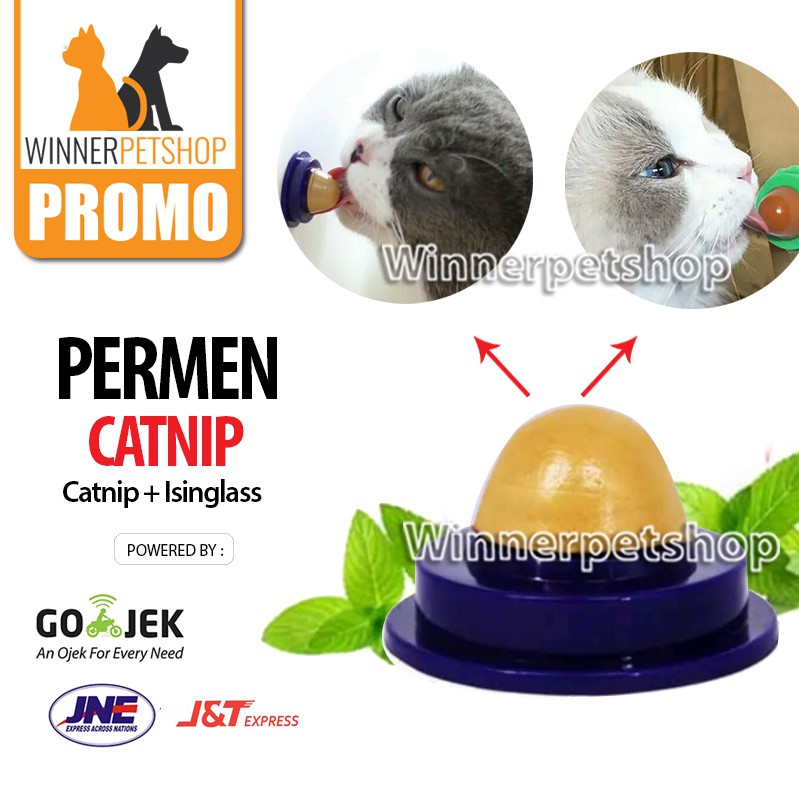 Permen Catnip Permen Kucing | Shopee Indonesia Permen Catnip Permen Kucing | Shopee Indonesia