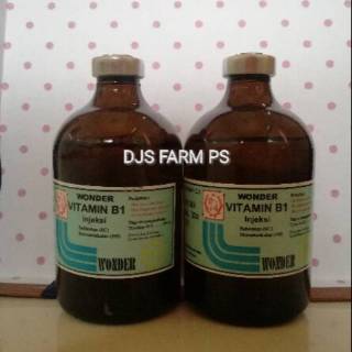 Jual Vitamin B1 Wonder 100ml vitamin Penggemuk hewan ternak sapi ...